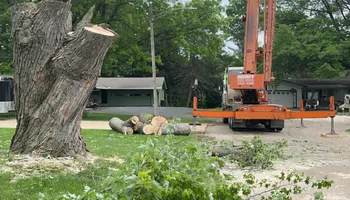 Tree Service in Freeport, IL | Fransen's Tree Service