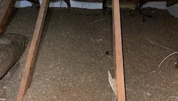 Insulation in Fort Myers, FL | Igloo Insulation