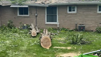 Tree Service in Freeport, IL | Fransen's Tree Service
