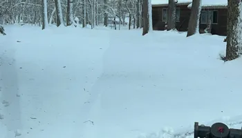 Tree Service in Freeport, IL | Fransen's Tree Service