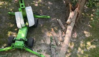 Tree Service in Freeport, IL | Fransen's Tree Service