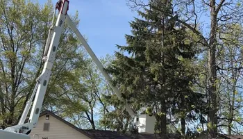 Tree Service in Freeport, IL | Fransen's Tree Service