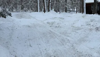 Tree Service in Freeport, IL | Fransen's Tree Service