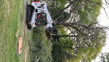 Tree Service in Freeport, IL | Fransen's Tree Service