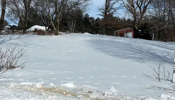 Tree Service in Freeport, IL | Fransen's Tree Service