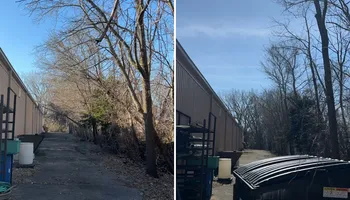 Tree Service in Freeport, IL | Fransen's Tree Service