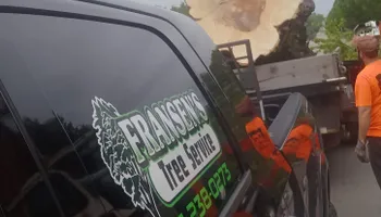 Tree Service in Freeport, IL | Fransen's Tree Service