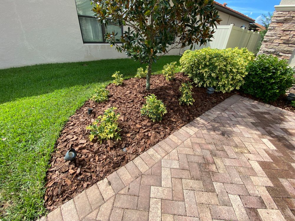 Landscaping in Hillsborough County, FL | Verimay's Garden and ...