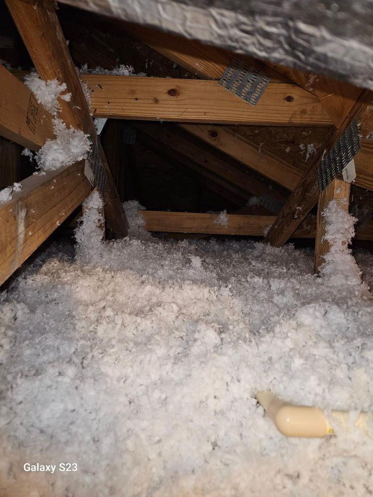 All | Fort Myers, FL | Igloo Insulation