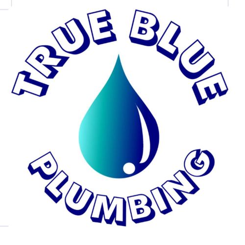 Plumbing Contractor in Sacramento, CA | True Blue Plumbing