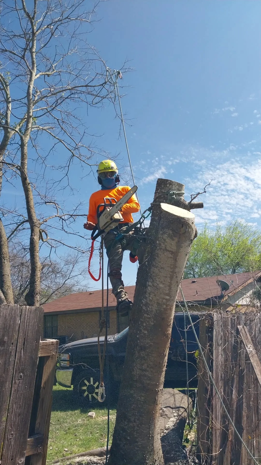 Landscaping in Austin, TX | Guzman's Landscaping Services