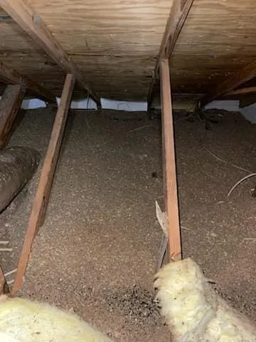 Insulation in Fort Myers, FL | Igloo Insulation