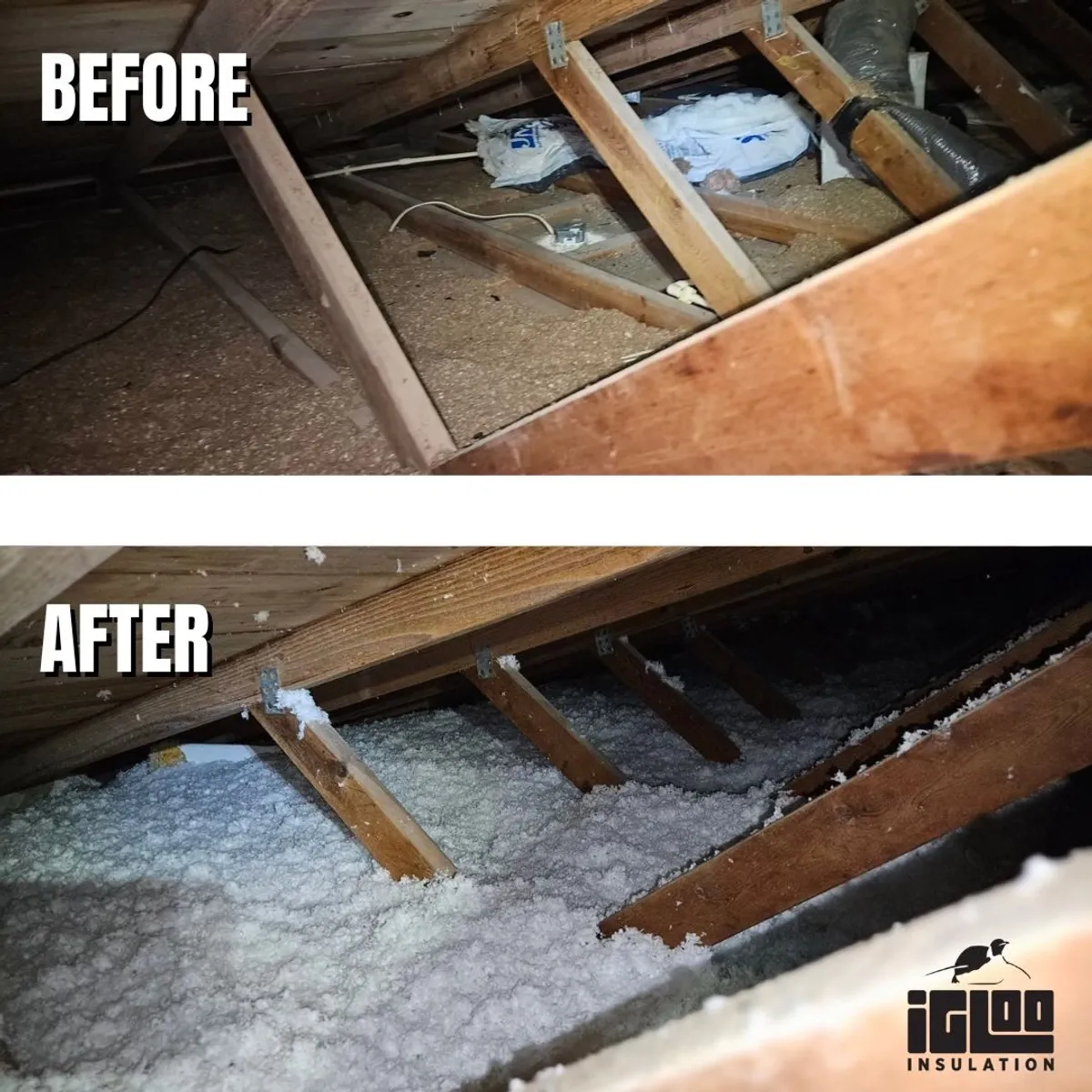 Insulation in Fort Myers, FL | Igloo Insulation