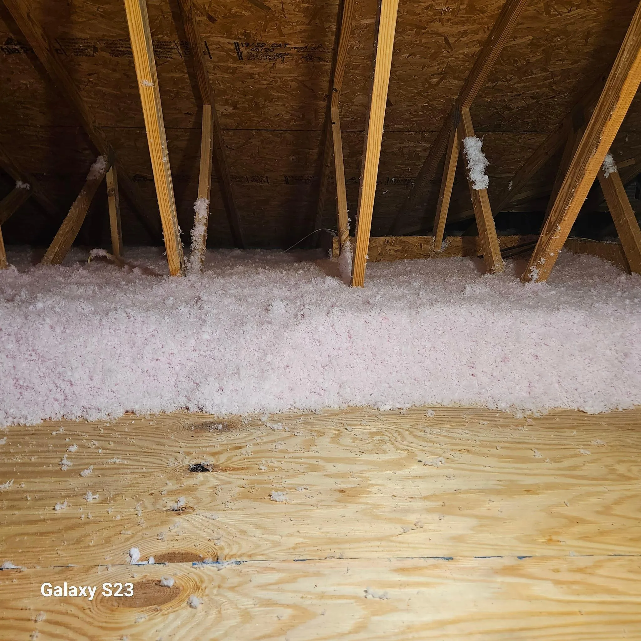 Insulation in Fort Myers, FL | Igloo Insulation