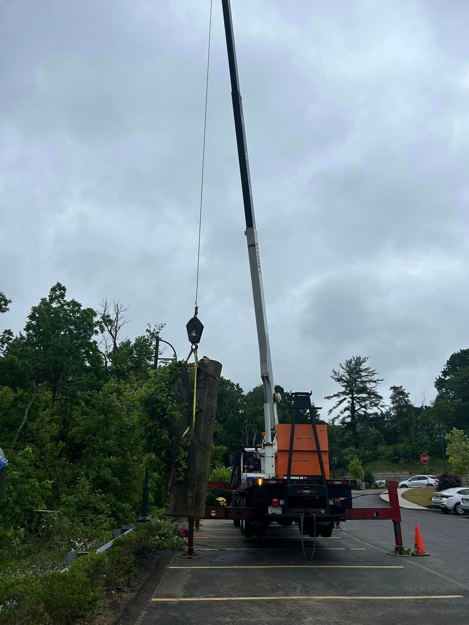 Tree Service in Gibsonia, PA | JJ Tree Service | JJ Tree Service