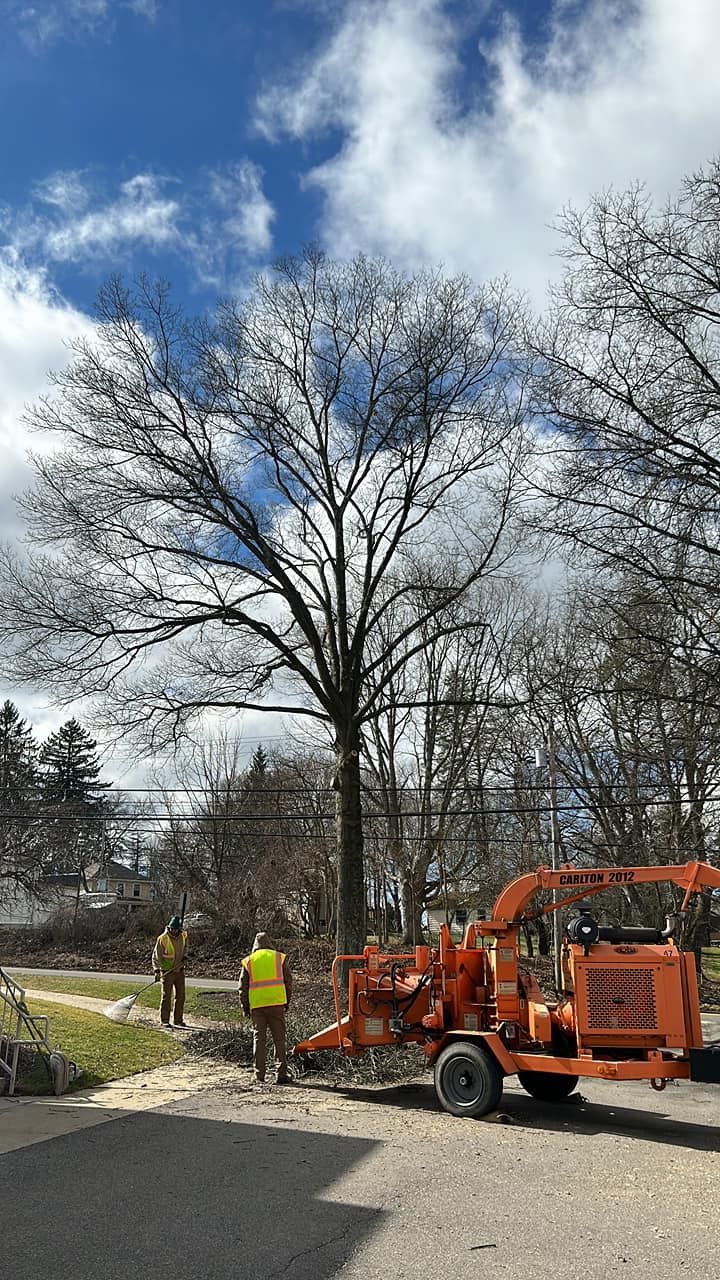 Tree Service in Gibsonia, PA | JJ Tree Service | JJ Tree Service