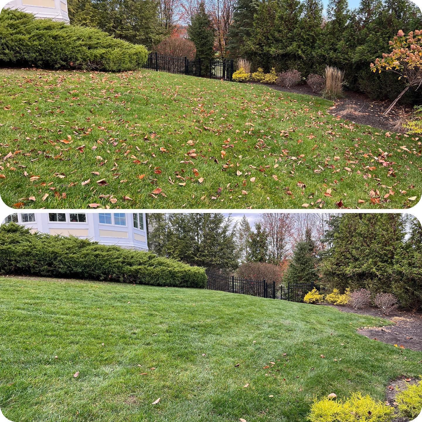 Lawn Care in Albany, New York | Bumblebee Lawn Care LLC