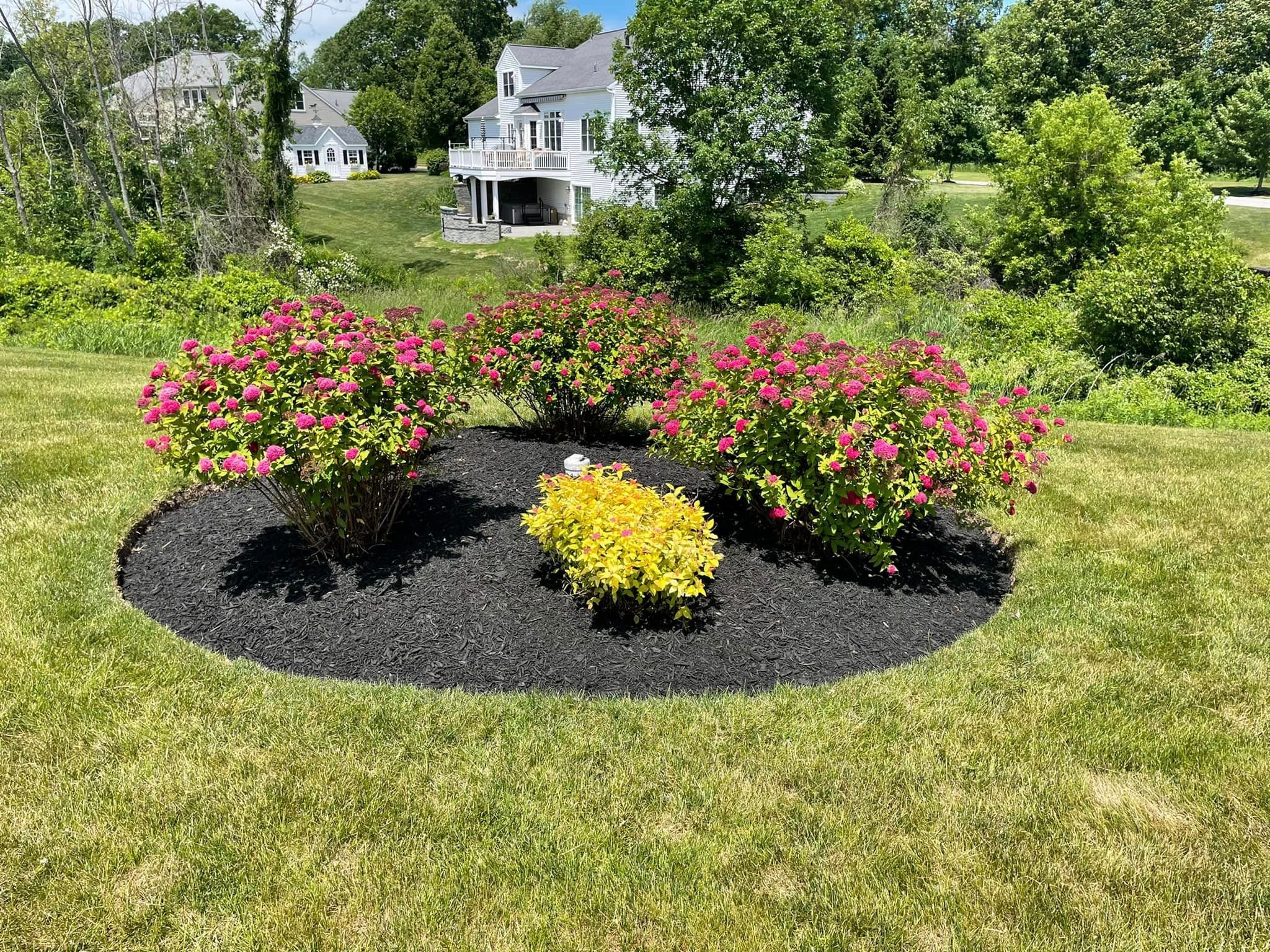 Lawn Care in Albany, New York | Bumblebee Lawn Care LLC