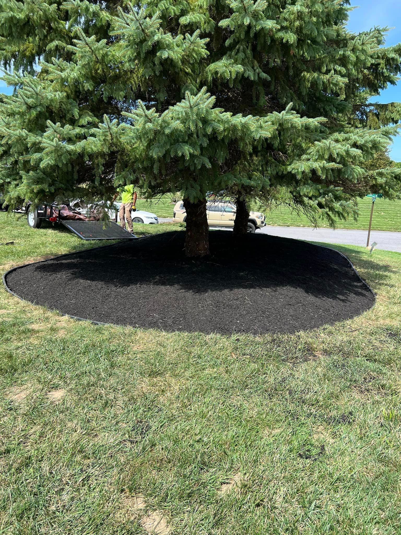Lawn Care in Albany, New York | Bumblebee Lawn Care LLC