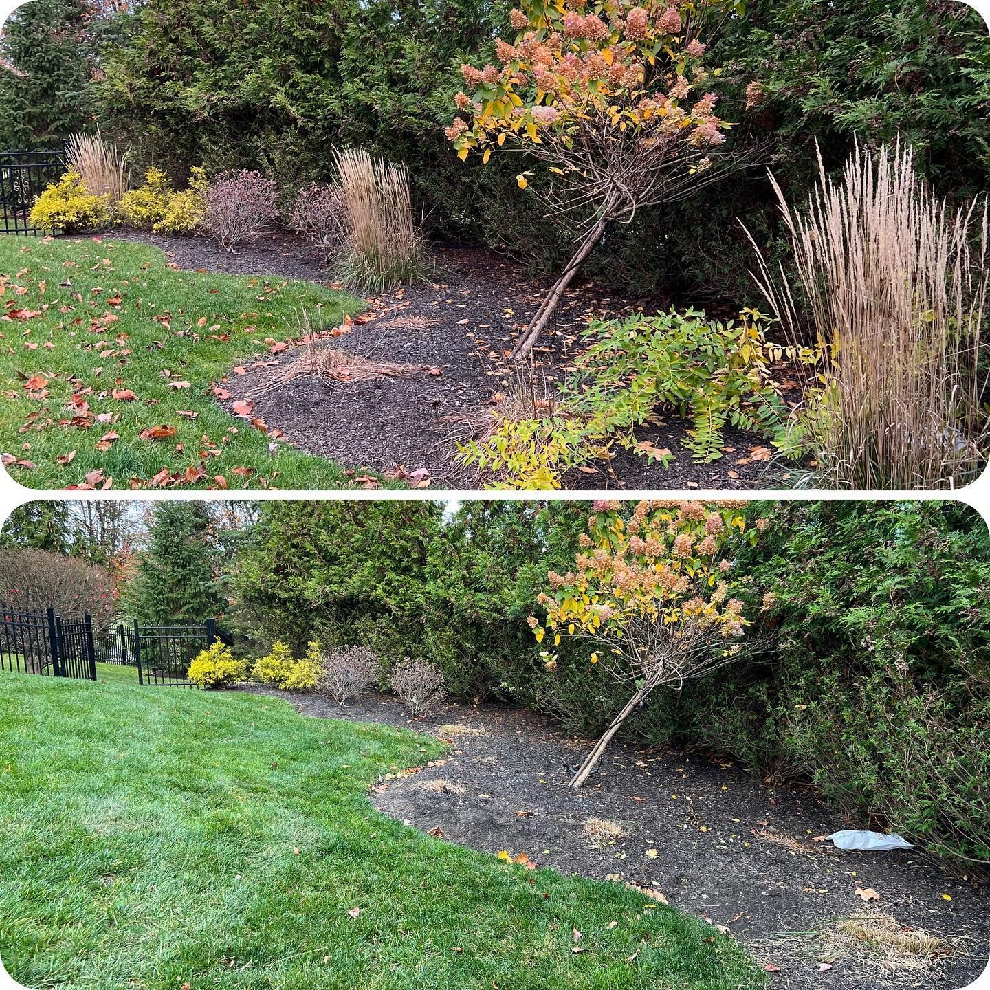 Lawn Care in Albany, New York | Bumblebee Lawn Care LLC